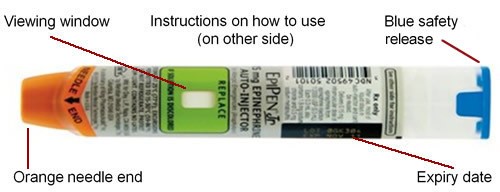 LESSON 5 - CORRECTLY USING ADRENALINE AUTOINJECTORS - Vic First Aid
