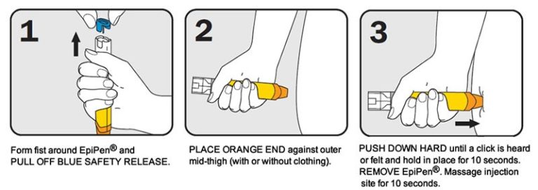 LESSON 5 - CORRECTLY USING ADRENALINE AUTOINJECTORS - Vic First Aid